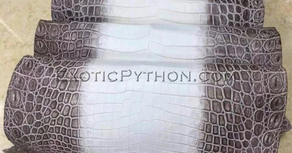 Crocodile skin natural color SK-44 - "EXOTIC PYTHON"