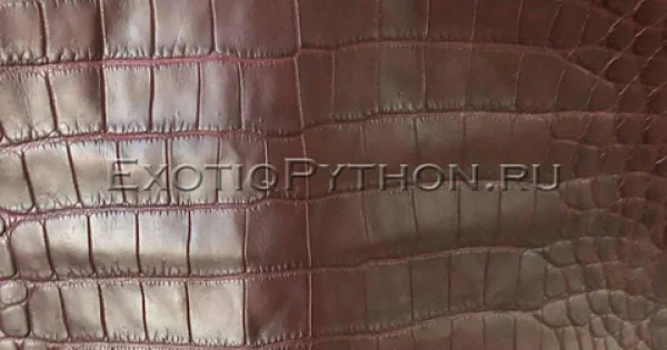 Crocodile skin maroon SK-45 - "EXOTIC PYTHON"