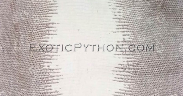 Lizard skin natural color - "EXOTIC PYTHON"
