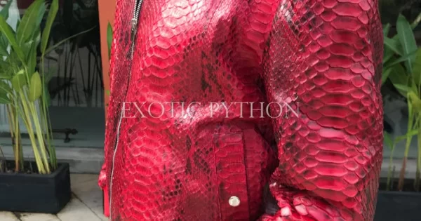 Men's snakeskin bomber jacket JT-124 - Exotic Python