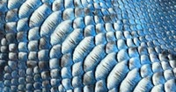 Python Skin | Exotic Python