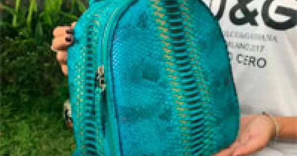 Snakeskin Backpacks | Exotic Python
