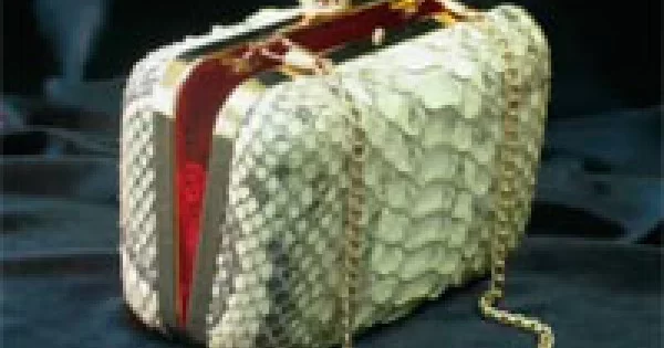 Python Clutch Box - Exotic Python