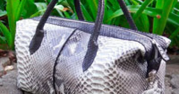 Snakeskin travel bags buy online - Exotic Python