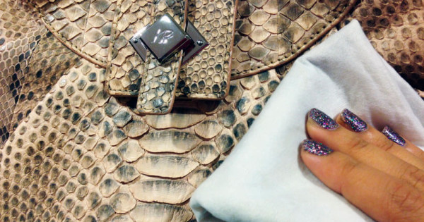 How to clean snakeskin bag - EXOTIC PYTHON
