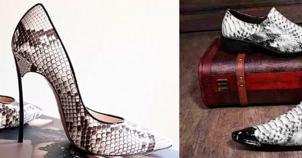 Snakeskin shoes - A Hot New Fashion Trend - EXOTIC PYTHON